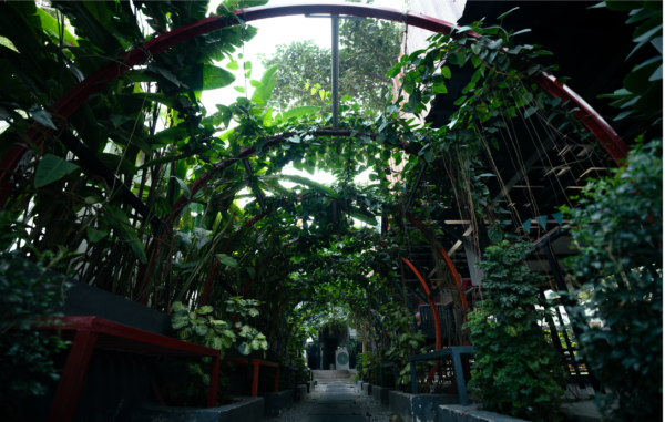 Home - The Tree Stories Cafe | LB Nagar Hyderabad